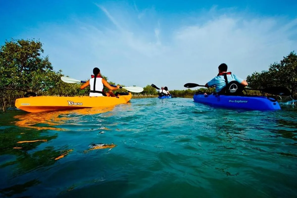 Mangroves Kayaking with Pickup & Drop Off - Dubai сoncierge service